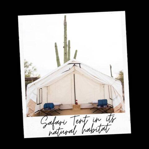 Premium Bell Tents & Outdoor Gear – Stout Tent